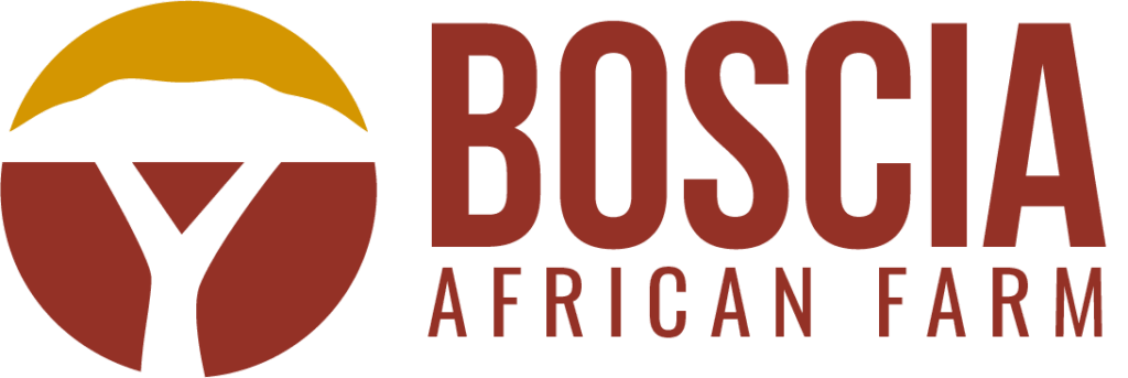 Contact - Boscia African Farm