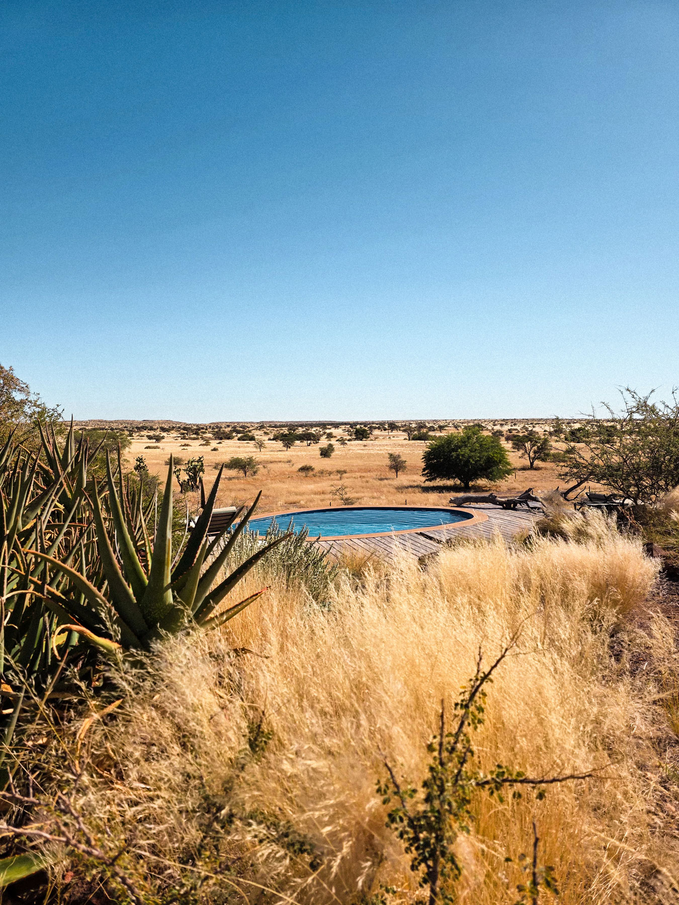 Accommodation - Boscia African Farm